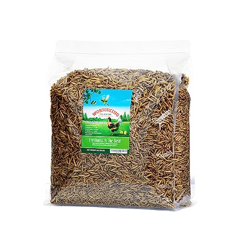 WORMSKING 5LB Dried Black Soldier Fly Larvae, High Calcium for Chickens