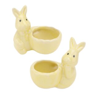 pretyzoom 2pcs flowerpot easter planter pots decorative pot ceramic pot ceramic succulent pot easter plant pot mini planter easter bunny figure succulent flower pot animal ceramics bracket