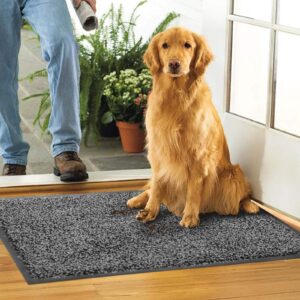 MATALL Indoor Front Door Rug - High Traffic Mats for Entryway Indoor Entrance Door Mat for Front Door, Back Door, Patio, House Entry (29.5”x17”, Black&Grey)