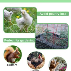 Garden Poultry Chicken Wire Netting - 13.7 '' × 157 '' Garden Fence Animal Barrier, Chicken Wire for Crafts, 1 inch Mesh Poultry Netting Fence, Pet/Rabbit/Chicken Wire Fencing