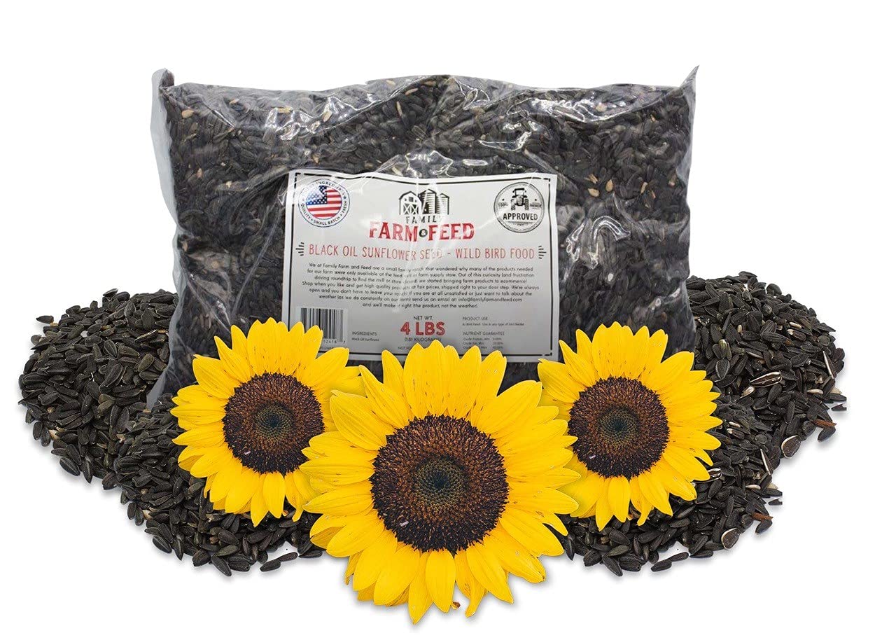 FAMILY FARM AND FEED | Four Season | Black Oil Sunflower Seed | 4 Pounds | Wild Bird Food | Backyard Songbird