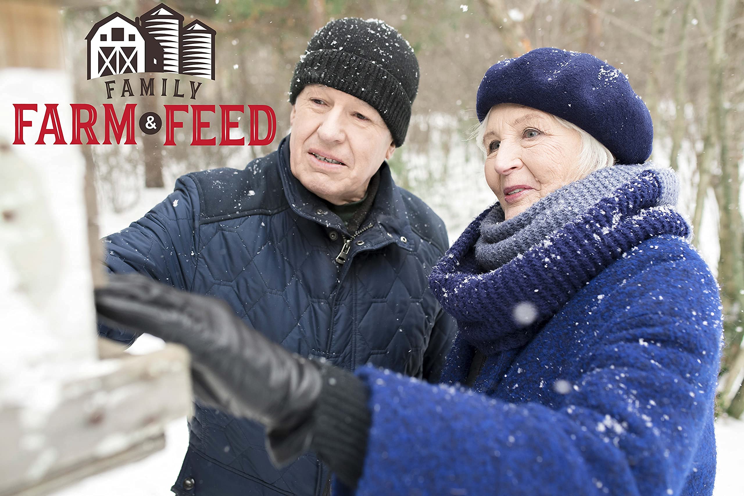 FAMILY FARM AND FEED | Four Season | Black Oil Sunflower Seed | 4 Pounds | Wild Bird Food | Backyard Songbird