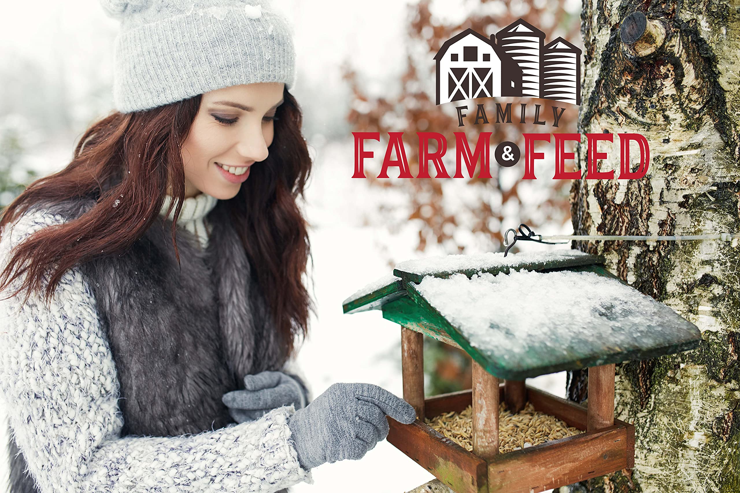 FAMILY FARM AND FEED | Four Season | Black Oil Sunflower Seed | 4 Pounds | Wild Bird Food | Backyard Songbird