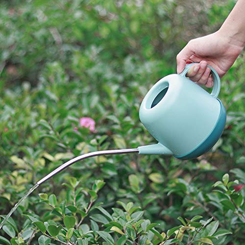 Pannow 35oz 1L Plastic Watering Can with Long Spout, Mini House Watering Can for Indoor Plants, Flowers Bonsai Desk Office Plastic Watering Can