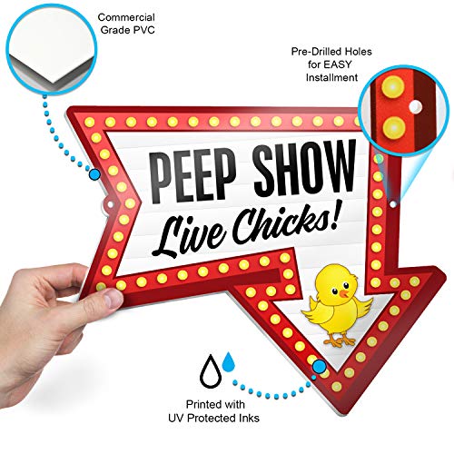 Bigtime Signs Peep Show Live Chicken Decor PVC 11"x9.5''- Chicken Coop Accessories - Chicken Gifts for Chicken Lovers, Chicken Brooder | Funny Chicken Decor for chicken feeder and chicken nesting box