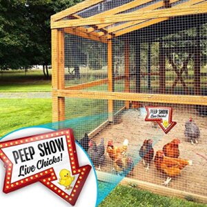 Bigtime Signs Peep Show Live Chicken Decor PVC 11"x9.5''- Chicken Coop Accessories - Chicken Gifts for Chicken Lovers, Chicken Brooder | Funny Chicken Decor for chicken feeder and chicken nesting box