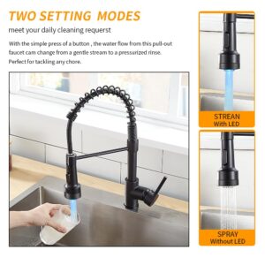 OWOFAN Kitchen Faucet with Sprayer Single Handle Pull Down Sprayer Spring Matte Black Kitchen Sink Faucet with LED Light 9005R