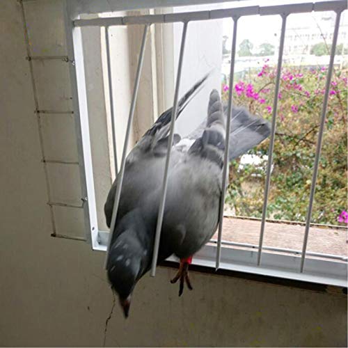 SRRPSPIGEON Pigeon Bird Entrance T-Trap 10pc One-Way Window Door Curtain Iron T Bars T-Trap for Pigeon Birds House Loft Door loft Door