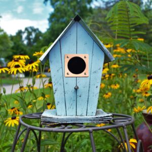 Metal Portal Bird House Guard Copper Portal for Eastern Bluebird Houses 1 Opening (6, 1.5 Inch)