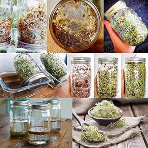 Seed Sprouting Jar Broccoli Sprouts Growing Kit with Screen Lids Wide Mouth Mason Jars for Growing Broccoli, Alfalfa, Mung Bean, Seed Germination Kit Indoor Sprouter Set, 2 Pack