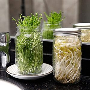 Seed Sprouting Jar Broccoli Sprouts Growing Kit with Screen Lids Wide Mouth Mason Jars for Growing Broccoli, Alfalfa, Mung Bean, Seed Germination Kit Indoor Sprouter Set, 2 Pack