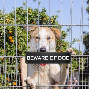 Ripeng Beware of Dog Sign for Fence Aluminum Rust Free Beware of Dog Sign Weatherproof Metal Warning Caution Dog Sign for Yard Gate Door Garden Outdoor, 3 x 12 Inch (2 Pieces)