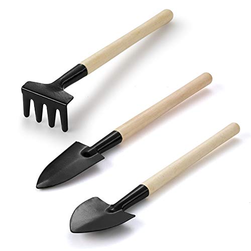 BushWalk Set of 3pcs Gardening Tools for Small Plants Succulents Pots Flower Cactus - Bonsai Tool Kit Gift for Kids and Adults