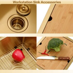 LQS Bar Sink, Gold Undermount Bar Sink, RV Sink, Stainless Steel Bar Sink 15" x 17", 16 Gauge Workstation Sink, Small Single Bowl Kitchen Sink with Cutting Board, Sink Protectors and Accessories