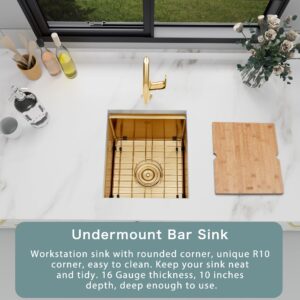 LQS Bar Sink, Gold Undermount Bar Sink, RV Sink, Stainless Steel Bar Sink 15" x 17", 16 Gauge Workstation Sink, Small Single Bowl Kitchen Sink with Cutting Board, Sink Protectors and Accessories