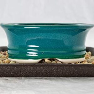 5.75" Oval Teal Green Shohin Bonsai/Succulent Pot + Tray + Rock + Mesh Combo