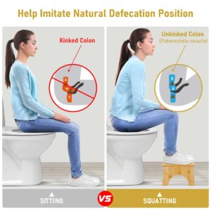 DORPU Squatting Toilet Stool, Anti Slip Toilet Potty Step Stool Sturdy Bathroom Stool for Adults 350 lbs Load Capacity (7 inches)