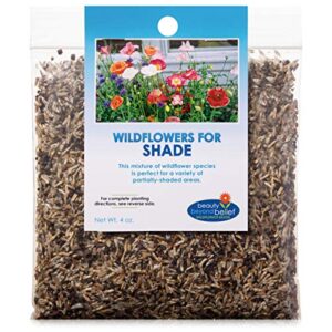 partial shade wildflower seeds bulk - open-pollinated wildflower seed mix packet, no fillers, annual, perennial wildflower seeds year round planting - 4 oz