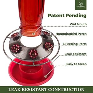 Kingsyard Glass Hummingbird Feeder for Outdoors Wild Bird Feeder with 6 Feeding Ports Hanging for Garden Yard, Red (Ant Moat Included)