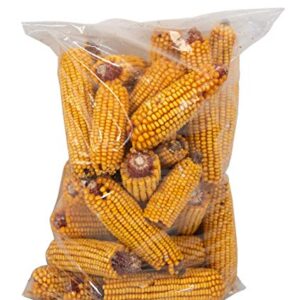 JCs Wildlife Dried Squirrel Corn Bag - Each Bag Weighs About 14 lbs - Great for Squirrels, Chipmunks, Deer and Other Backyard Critters - Grown in Indiana (1)