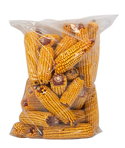 JCs Wildlife Dried Squirrel Corn Bag - Each Bag Weighs About 14 lbs - Great for Squirrels, Chipmunks, Deer and Other Backyard Critters - Grown in Indiana (1)