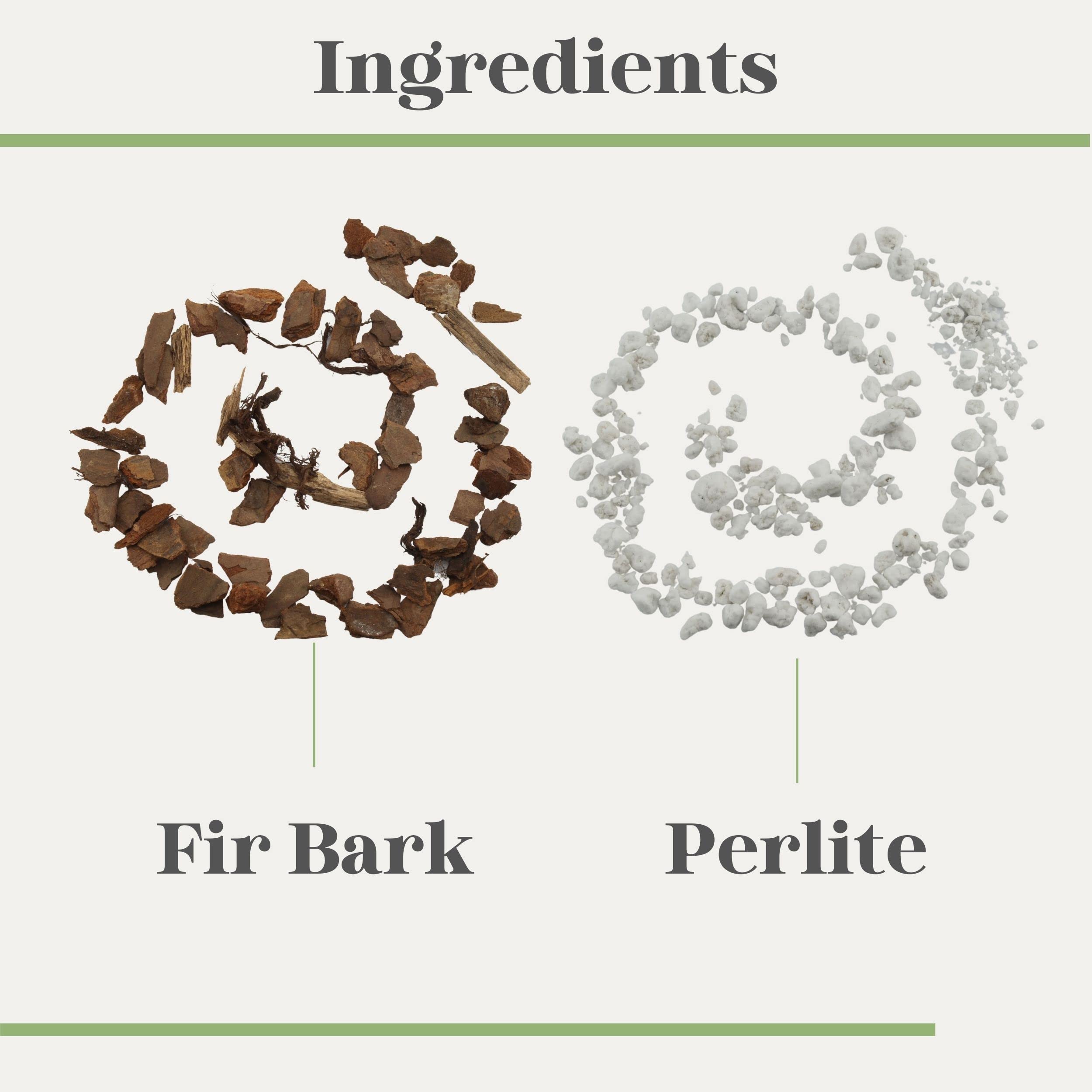 All Purpose Orchid Mix Potting Soil Indoor Plants (2 Quarts), Orchid Bark & Organic Perlite for Plants - Succulent Soil Potting Mix Indoor - Orchid Soil