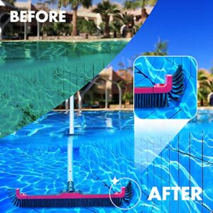 ProTuff Products Pool Brush Head - 3X Faster & Lifetime Replacement - Clean Walls & Corners Faster w/Sturdy 22” Wide Bristles & Removable Ends - Premium Pool Cleaning Equipment