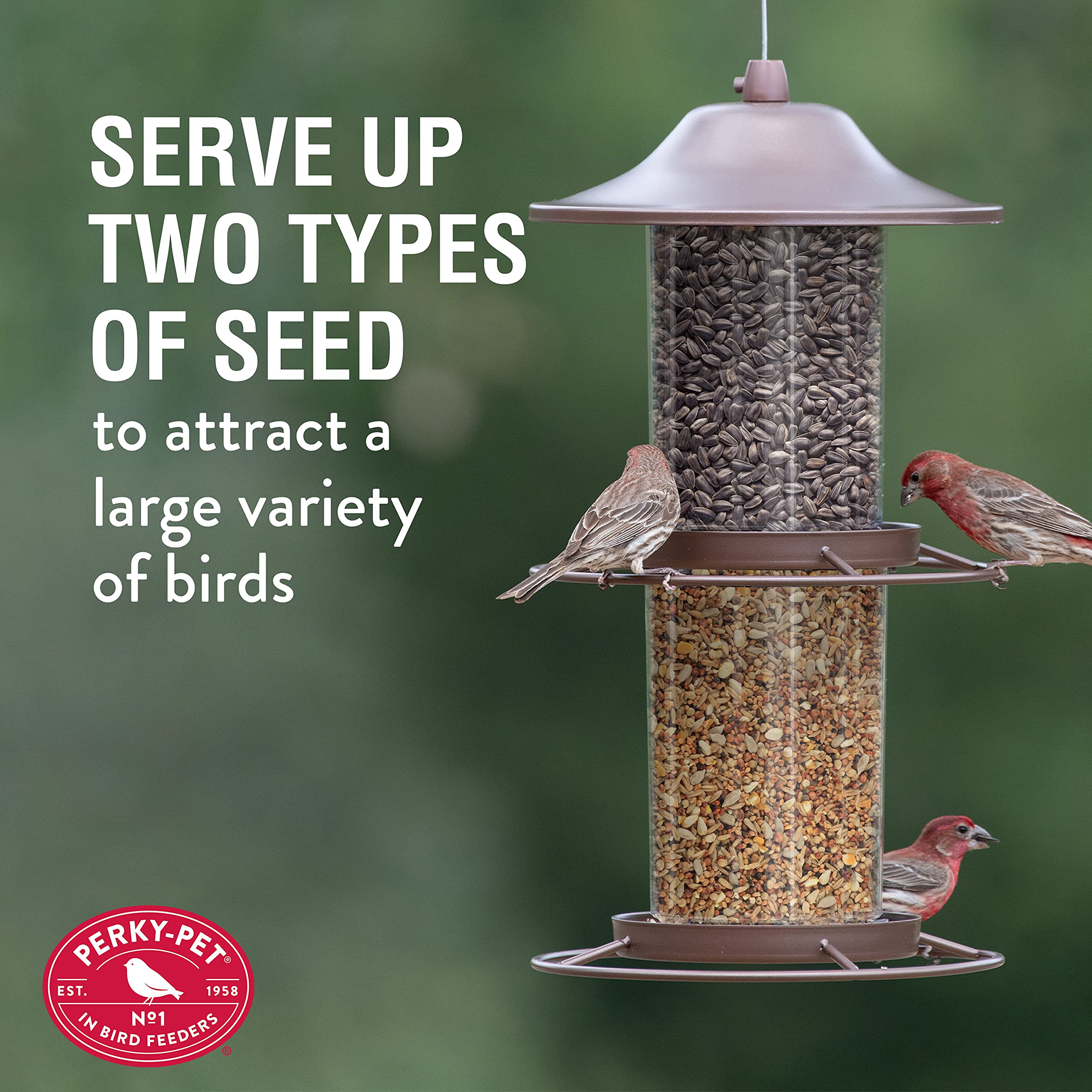 Perky-Pet 325SCOMBO-1SR Large 2-Tier Outdoor Panorama Wild Bird Feeder with Hanging Hook - 4.5 lb Seed Capacity