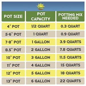 Lucky Bamboo Plant Potting Mix (2 Quarts), Custom Soil Mix for Repotting