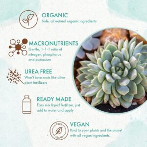 Organic Succulent & Cactus Plant Food - Gentle Liquid Fertilizer Nutrients for Aloe Vera and Other Common Indoor and Outdoor Succulents & Cacti (8 oz)