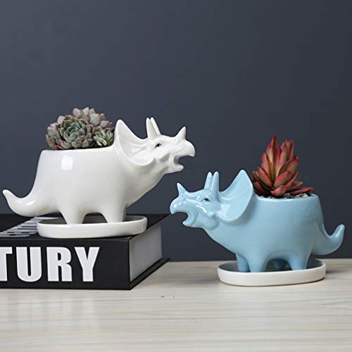 Happyyami 1PC Flower Pot Mini Succulent Container Pot with Drainage Tray Ceramic Fairy Garden Pot Mini Succulent pots Animal Bonsai Holder Artificial Bonsai Artificial Cactus Outdoor Plant