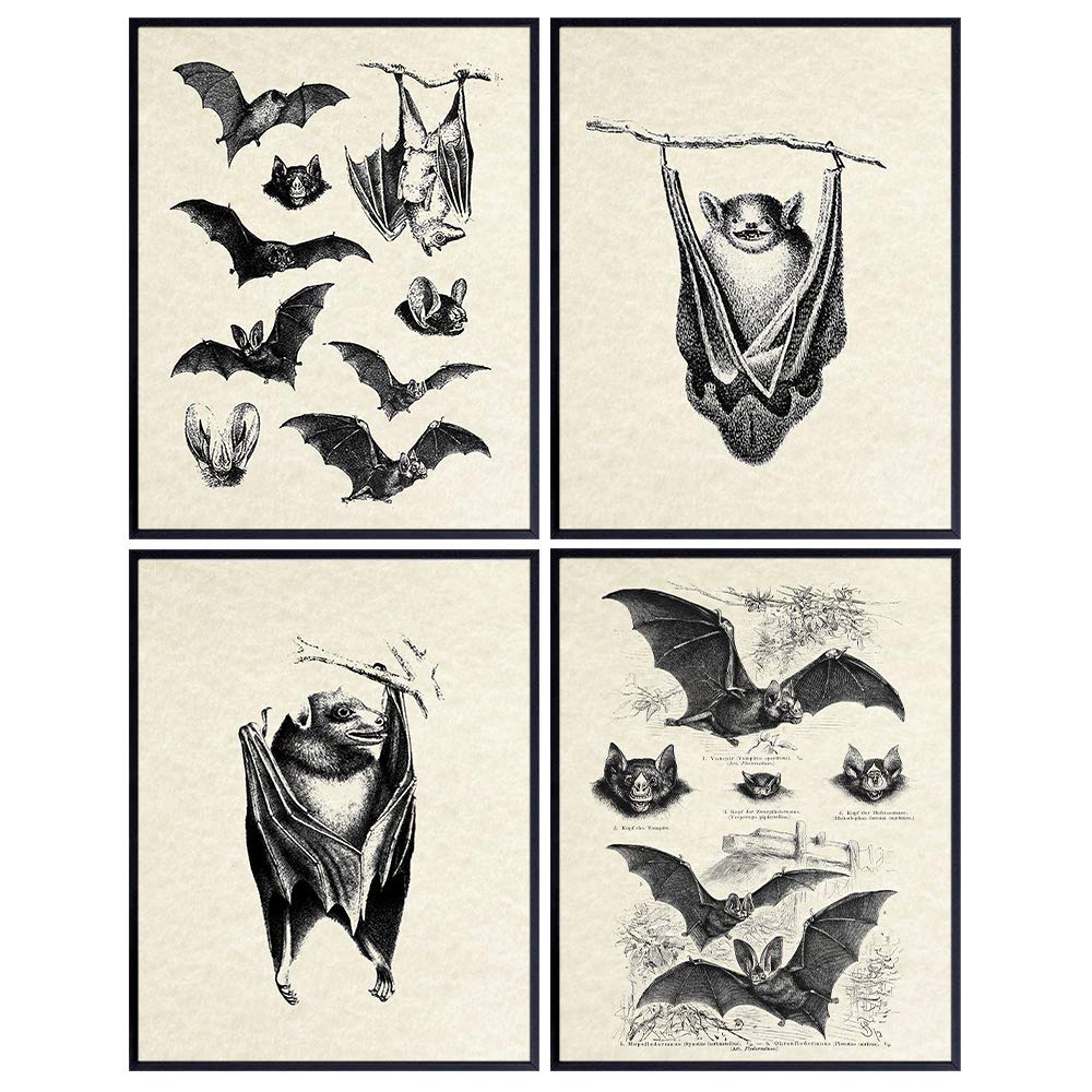 Bats Wall Decor - Bat Decorations - Bat Decor for Home - Creepy Gothic Wall Art - Goth Wall Decor - Pagan Gifts - Gothic Decor