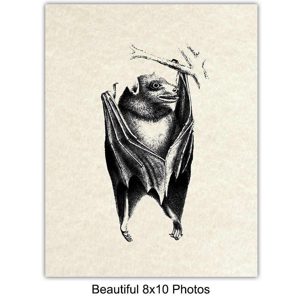 Bats Wall Decor - Bat Decorations - Bat Decor for Home - Creepy Gothic Wall Art - Goth Wall Decor - Pagan Gifts - Gothic Decor