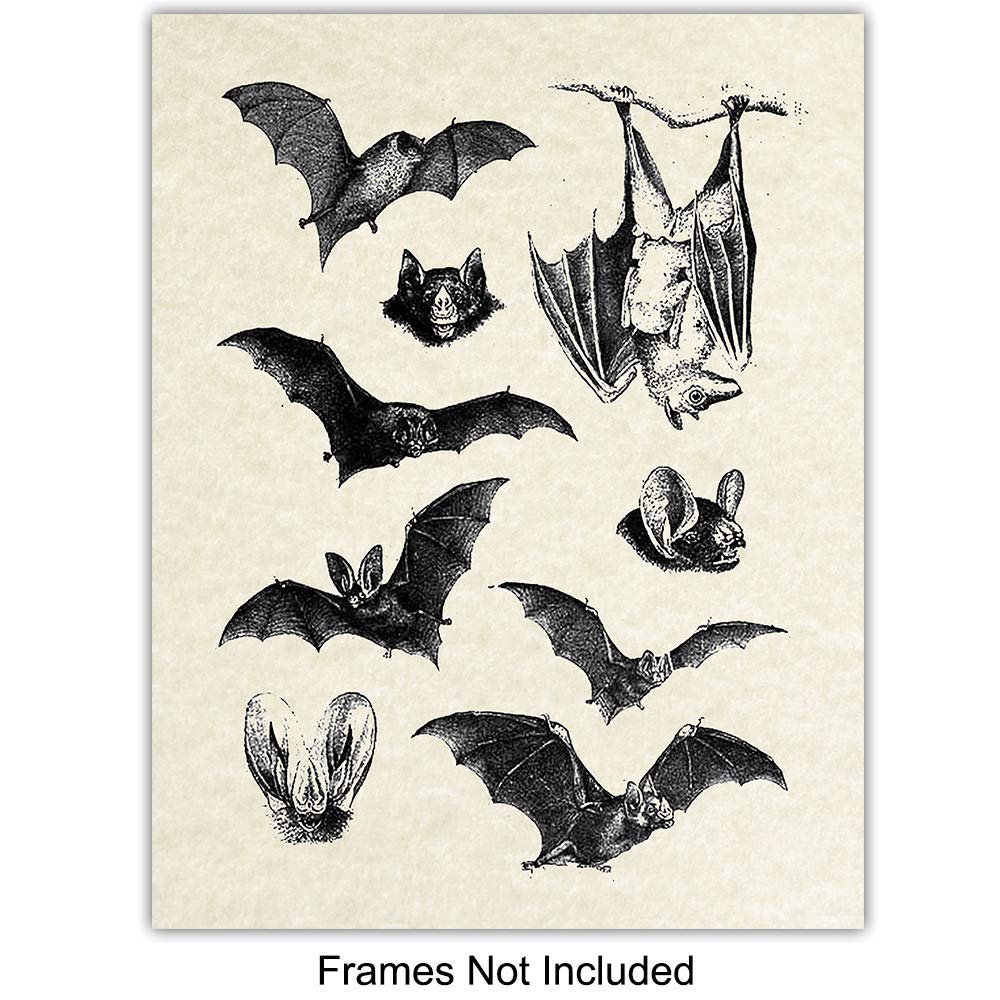 Bats Wall Decor - Bat Decorations - Bat Decor for Home - Creepy Gothic Wall Art - Goth Wall Decor - Pagan Gifts - Gothic Decor