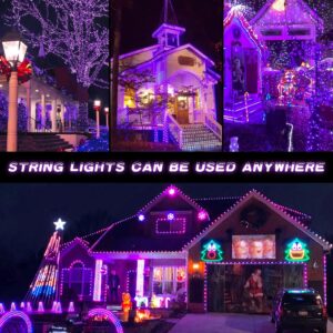 JMEXSUSS 2 Pack Purple Solar Christmas Lights, Total 400 LED 151FT Solar String Lights Outdoor Waterproof, 8 Modes Purple Christmas Lights for Outside Tree Patio Party Christmas Halloween Decorations