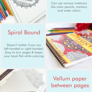 Power Mandalas Coloring book for adults, Spiral bound paperback, stress relieving intricate Offbeat mandalas for grown-ups