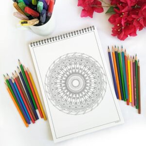 Power Mandalas Coloring book for adults, Spiral bound paperback, stress relieving intricate Offbeat mandalas for grown-ups