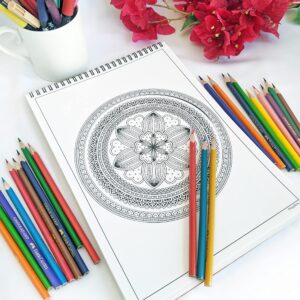 Power Mandalas Coloring book for adults, Spiral bound paperback, stress relieving intricate Offbeat mandalas for grown-ups