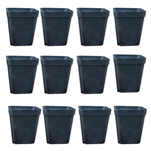 nuobesty 2 inch black square flower pots small plastic plant pots 100pcs square flower plant pots mini succulent pot for cactus bonsai