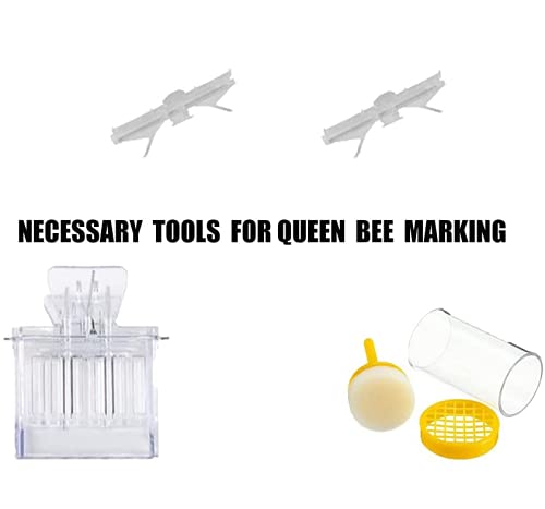 BeeCastle Beekeeping Supplies 22PCS Beekeeping Tools Kit, Bee Keeping Supplies-All Tools Kit Bee Keeping Starter Kit for Beginners and Professional Beekeepers