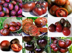 mixed seeds! 30+ black tomato seeds, mix of 9 varieties, heirloom non-gmo, black prince, cherokee purple, black cherry, from usa