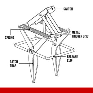 ALLRoad Easy Setup Mole Trap with Quick Kill Reusable Eliminator Scissor Trap Gopher Trap- Non Toxic and Protect The Lawn