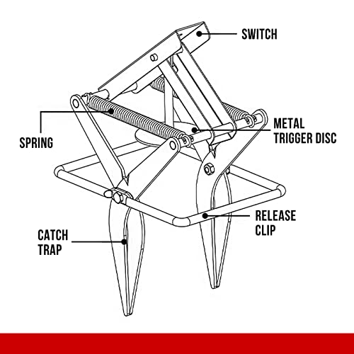 ALLRoad Easy Setup Mole Trap with Quick Kill Reusable Eliminator Scissor Trap Gopher Trap- Non Toxic and Protect The Lawn