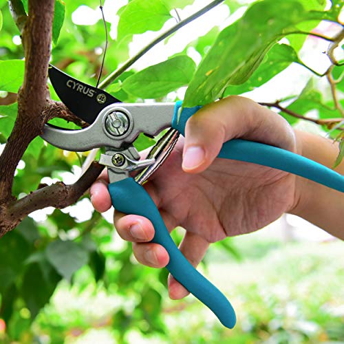 Garden Shears Pruner Secateurs & Pruning Scissors Flower Gardening Sharp Carbon Steel & Aluminum Alloy Hand Tools Florist Bonsai Cutters Plant Floral Snips - CYRUS