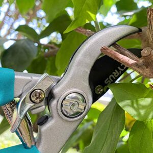 Garden Shears Pruner Secateurs & Pruning Scissors Flower Gardening Sharp Carbon Steel & Aluminum Alloy Hand Tools Florist Bonsai Cutters Plant Floral Snips - CYRUS