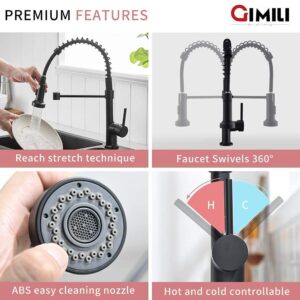 GIMILI Spring Kitchen Sink Faucet with Soap Dispenser Matte Black