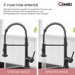 GIMILI Spring Kitchen Sink Faucet with Soap Dispenser Matte Black