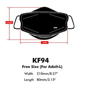 KN FLAX [20Packs] KF94 Black - Face Protective Mask for Adult (Black) [Made in Korea] [20 Individually Packaged] TRY Premium KF94 Certified Face Safety Black Dust Mask for Adult