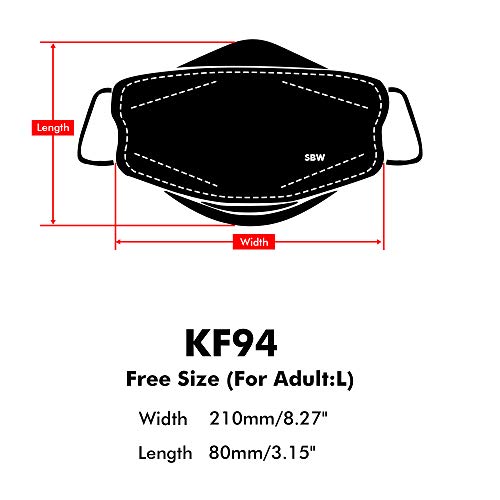 KN FLAX [20Packs] KF94 Black - Face Protective Mask for Adult (Black) [Made in Korea] [20 Individually Packaged] TRY Premium KF94 Certified Face Safety Black Dust Mask for Adult