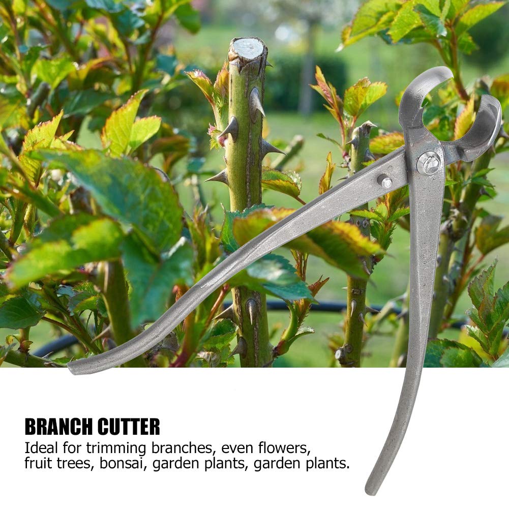 Bonsai Cutter, Knob Cutter Bonsai Tools Round Edge Cutter, Stainless Steel Bonsai Tree Knob Cutter Concave Cutter Bonsai Cutting Tool for Garden